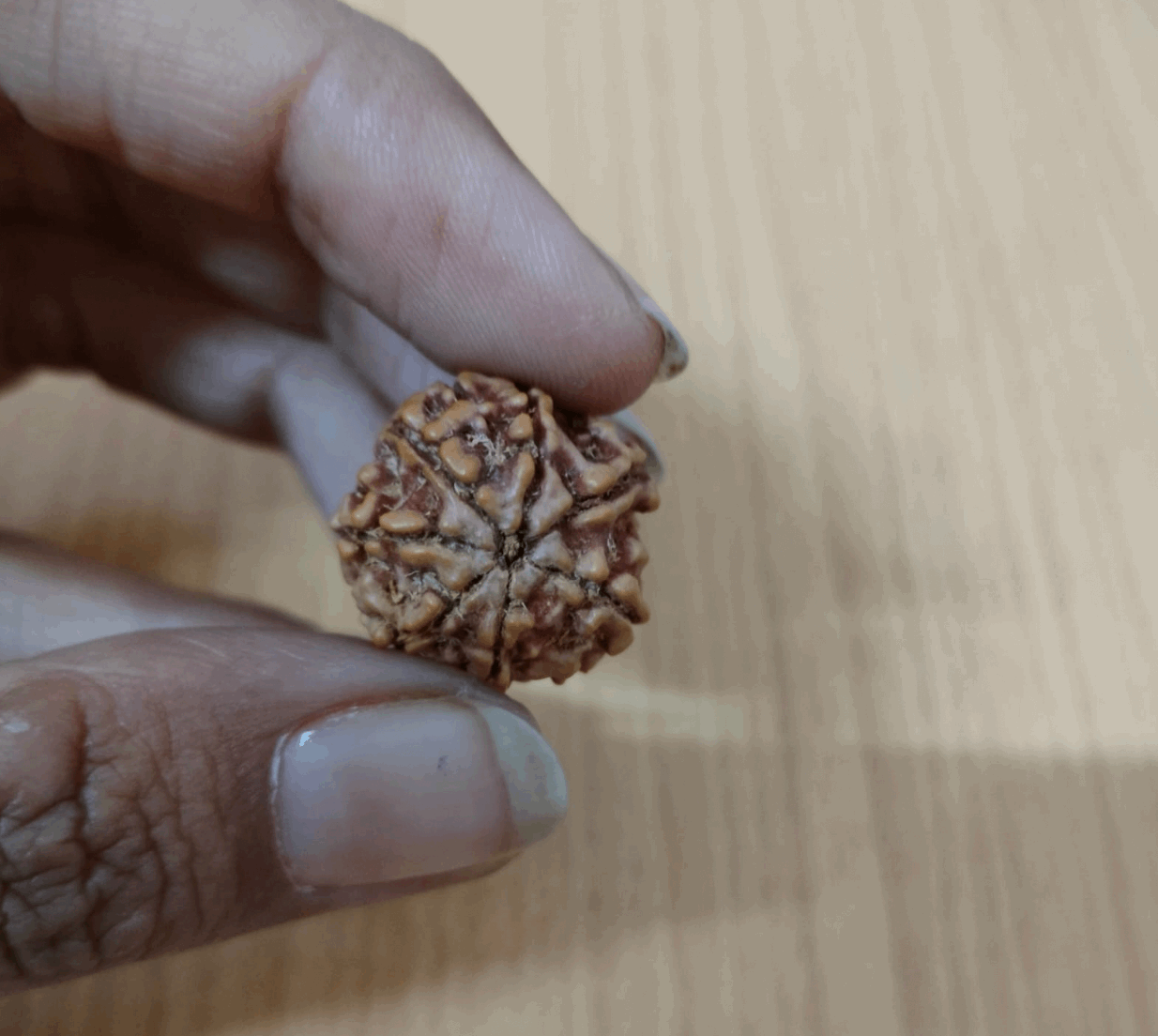 Side Effects of 7 Mukhi Rudraksha – Vedic Crystals