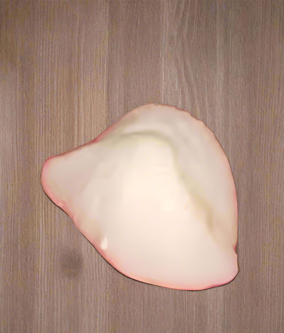 7.5 Carat MachMani Stone | Machh Mani | Fish Pearl | Mach Mani – Vedic ...