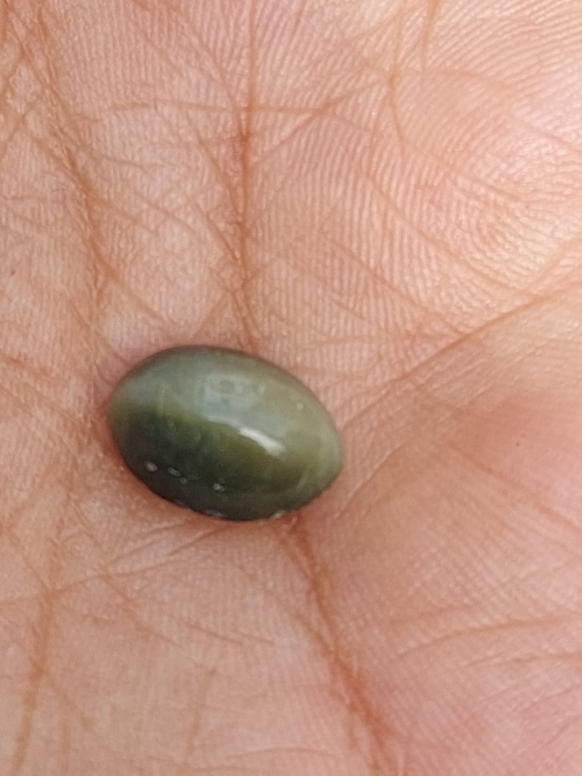 Cat's Eye Stone | Lehsunia stone | 12 Carat | Ceylon | With Certificat ...