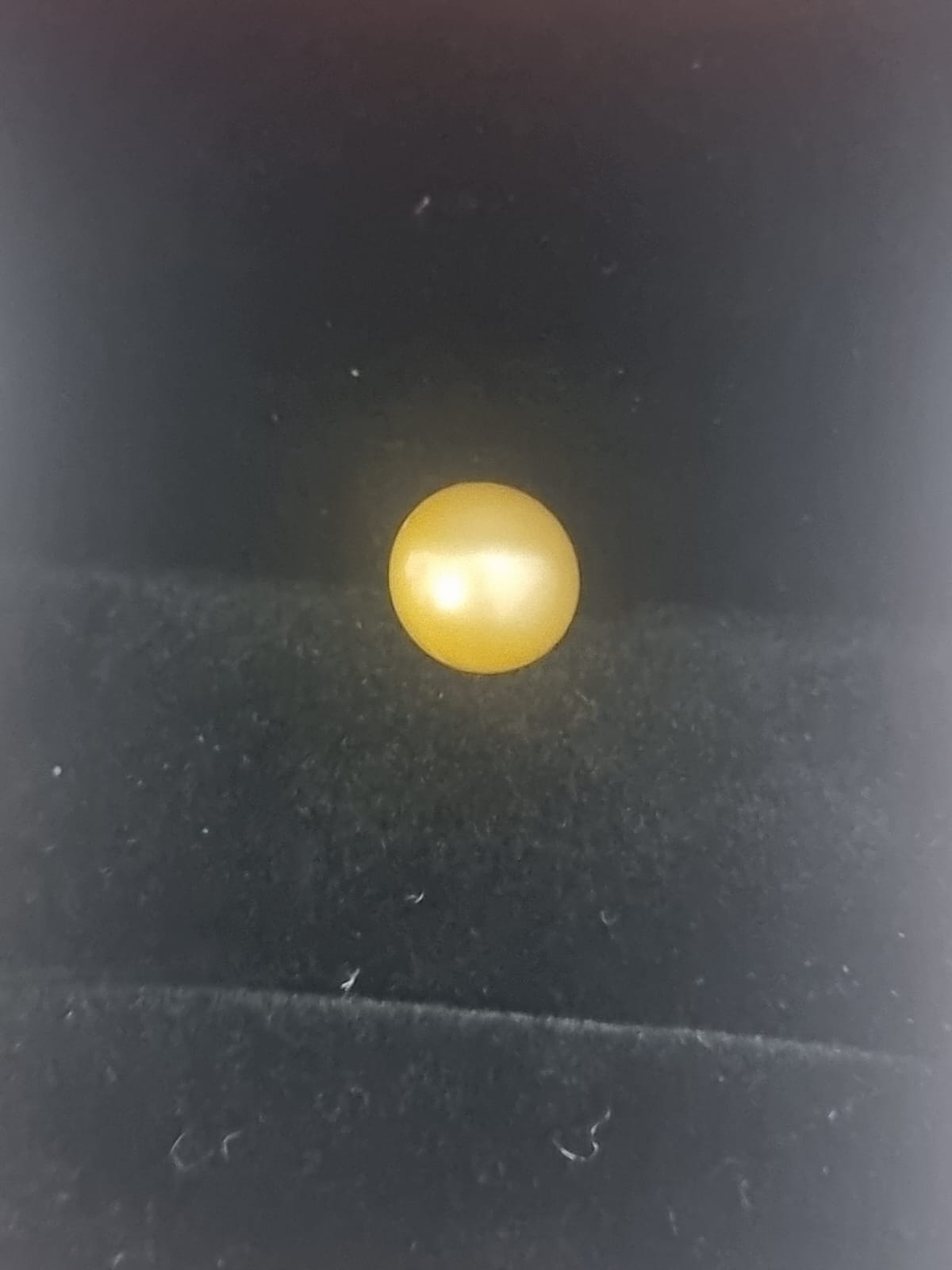 Golden pearl | Golden Moti | South Sea Pearl | 6 carat | With Certific ...