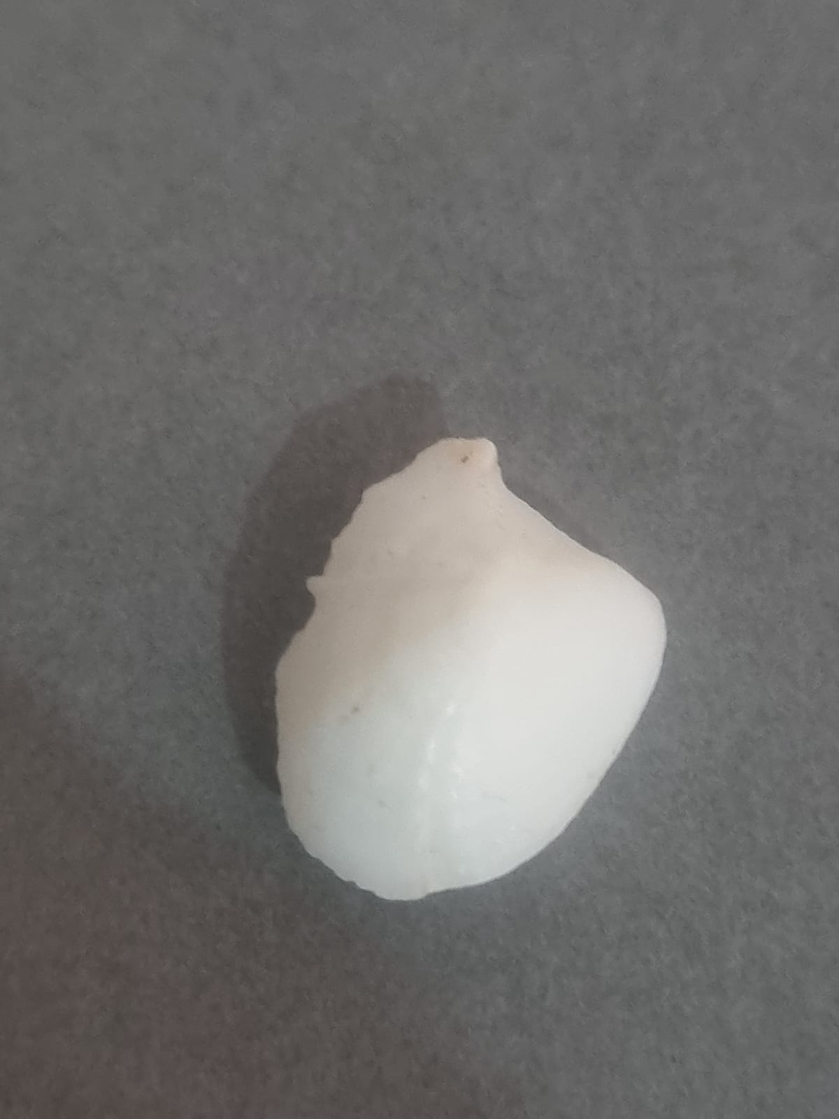 Machmani Stone | Machh Mani | Mach Mani | 11 Carat | With Certificate ...