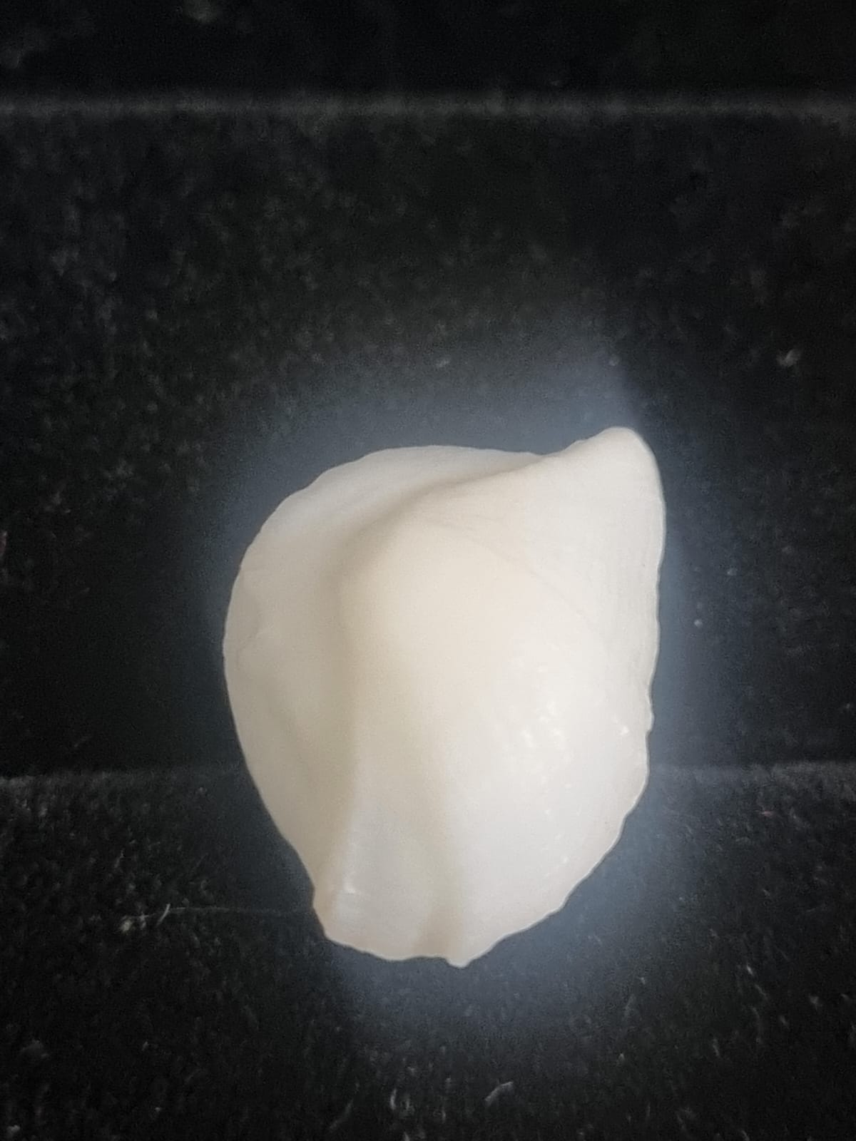 Machmani Stone | Machh Mani | Mach Mani | 12 Carat | With Certificate ...