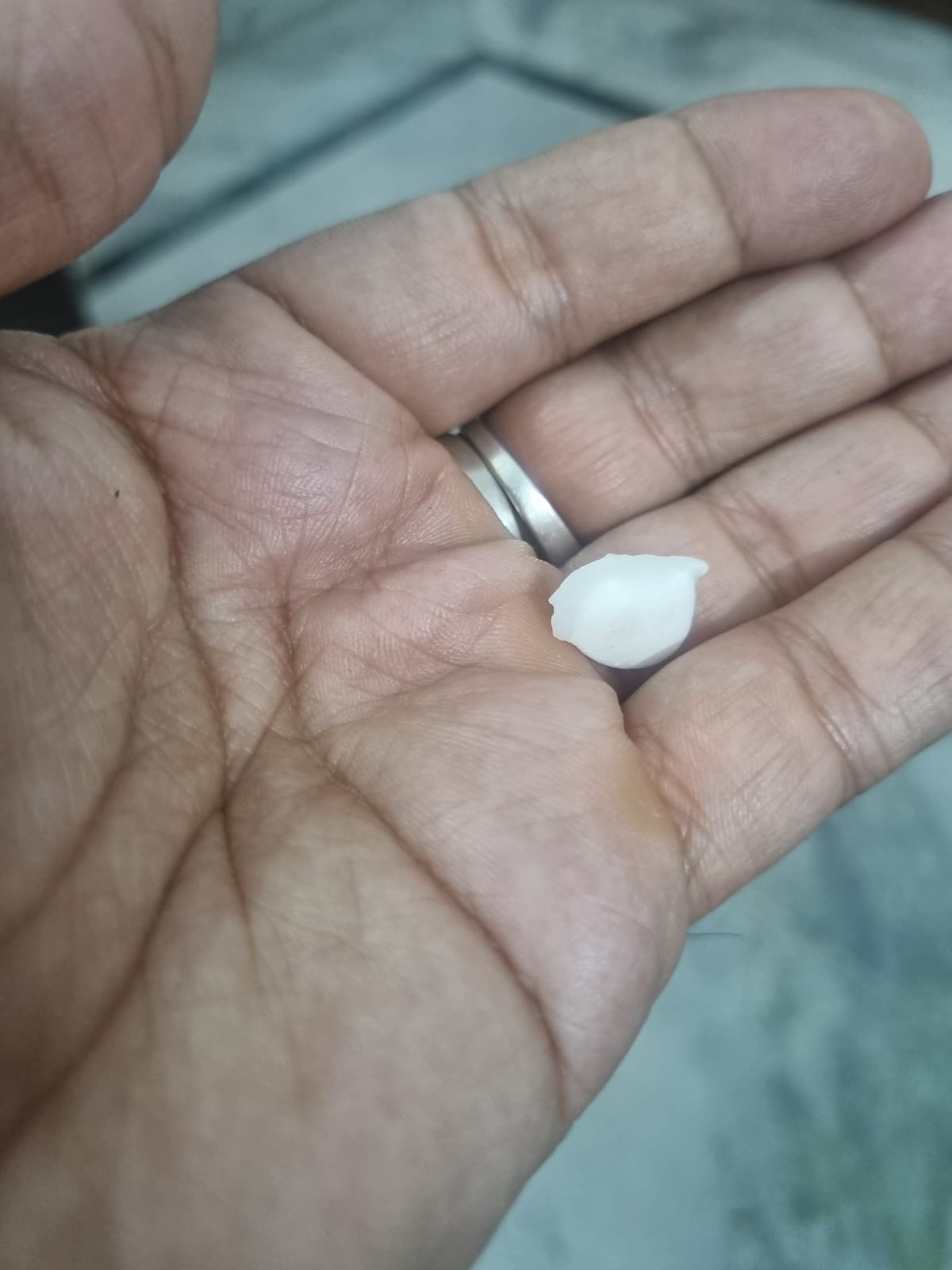 Machmani Stone | Machh Mani | Mach Mani | 6 Carat | With Certificate ...