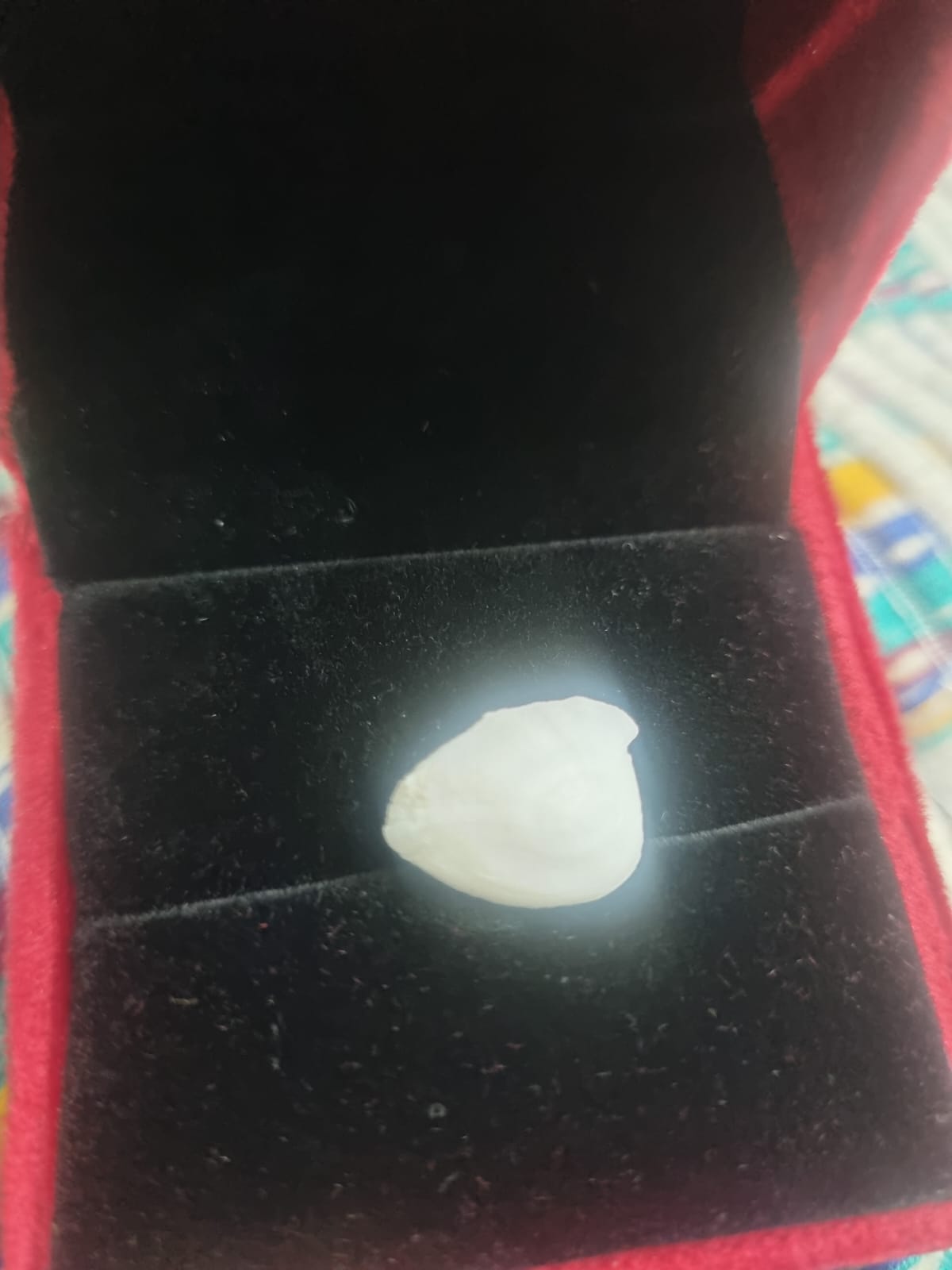 Machmani Stone | Machh Mani | Mach Mani | 7 Carat | With Certificate ...