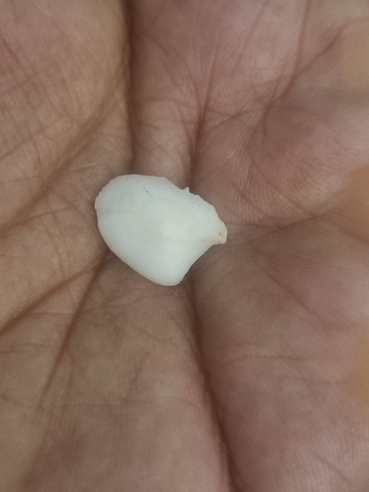 Machmani Stone | Machh Mani | Mach Mani | 8.5 Carat | With certificate ...