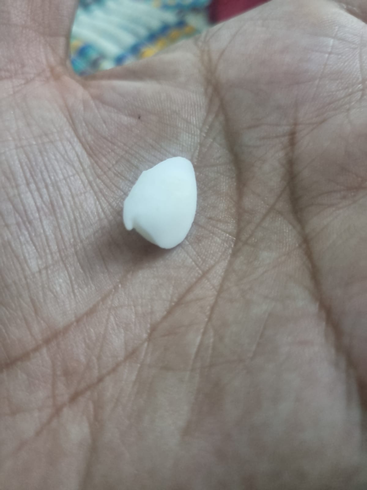 Machmani Stone | Machh Mani | Mach Mani | 8 Carat | With Certificate ...