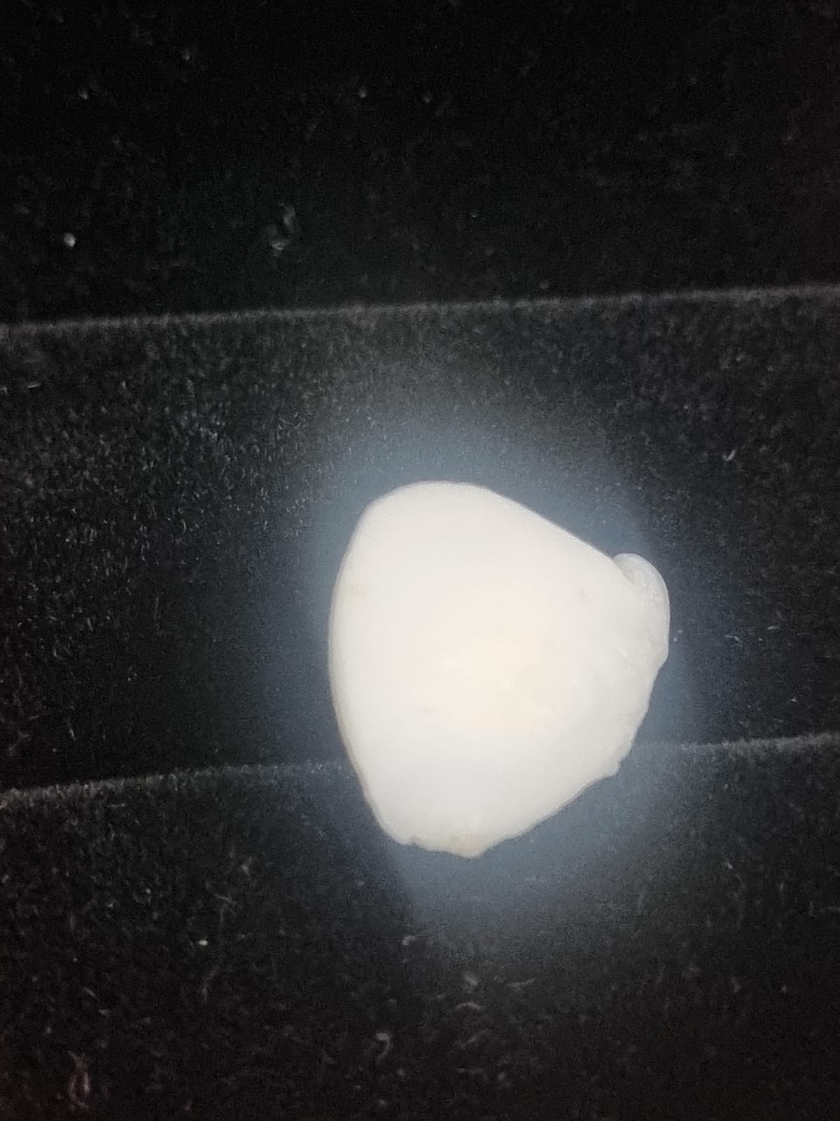 Machmani Stone | Machh Mani | Mach Mani | 8 Carat | With Certificate ...