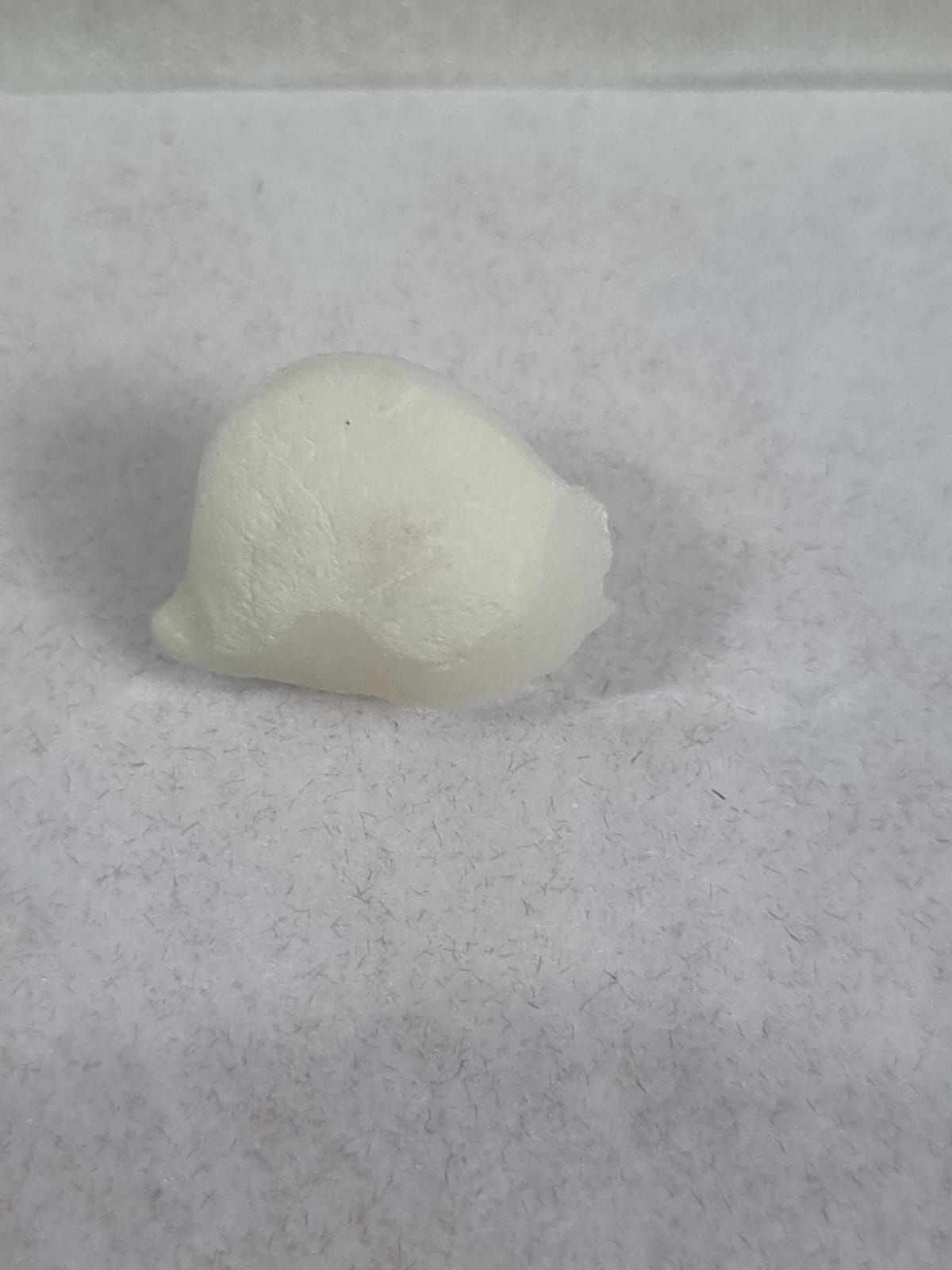 Machmani Stone | Machh Mani | Mach Mani | 10 Carat | With Certificate ...