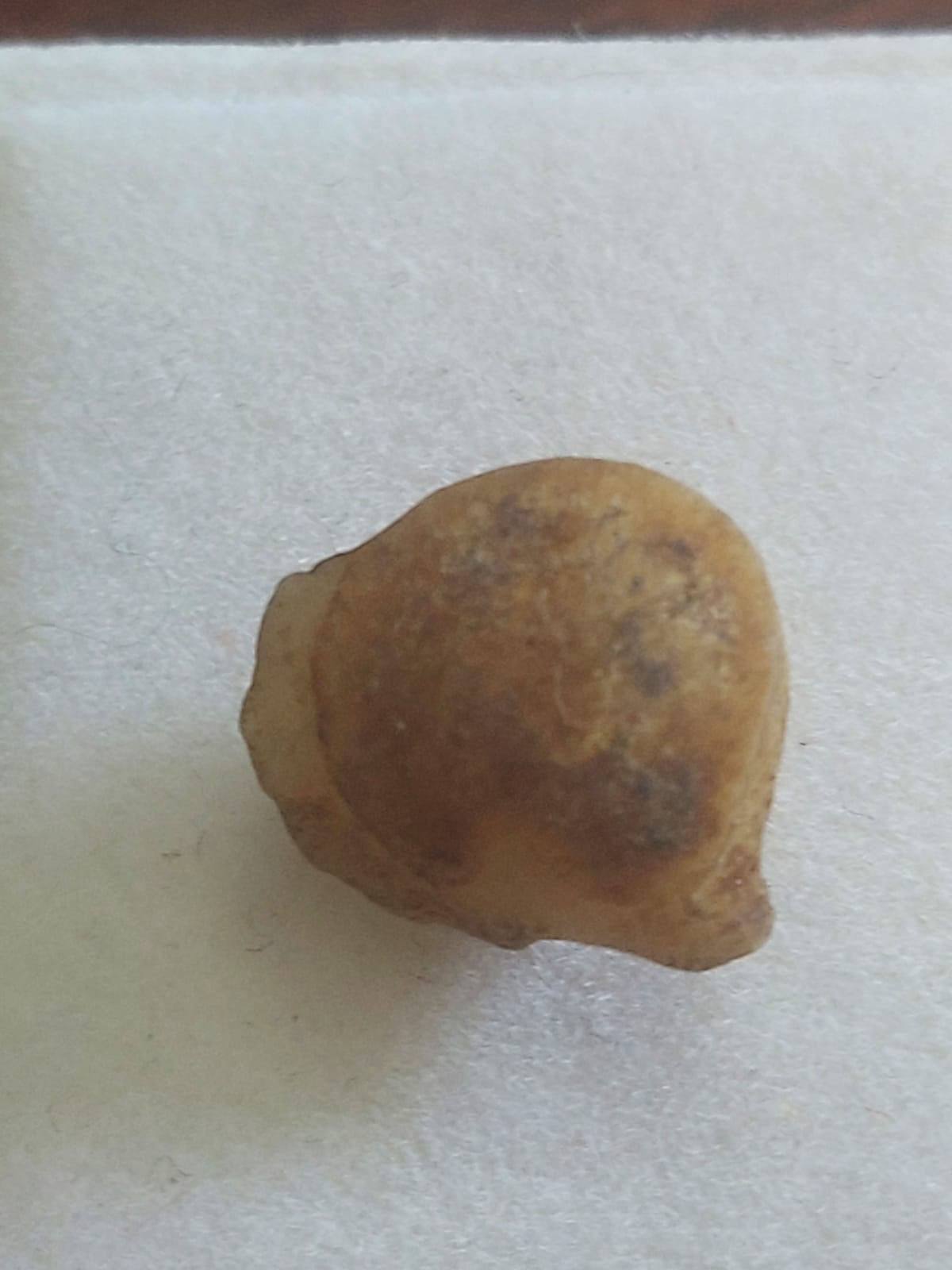 Machmani Stone | Machh Mani | Mach Mani | 8.5 Carat | Brown | With Cer ...