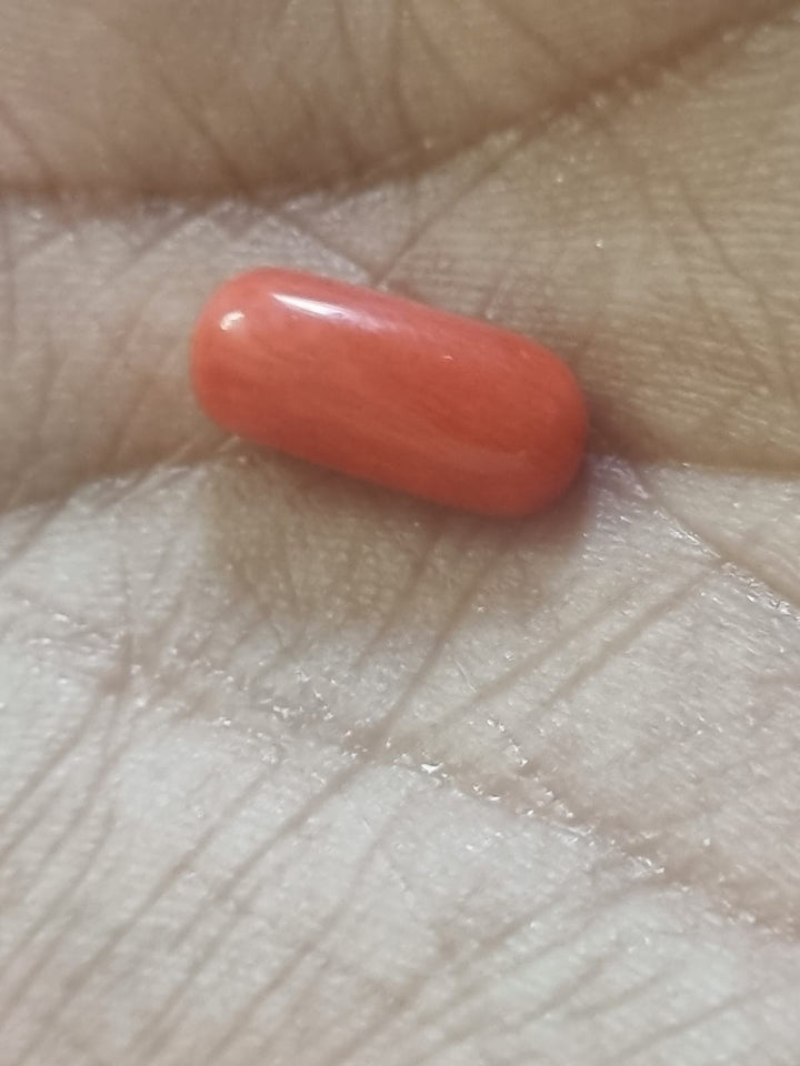 What is the price of a Red coral (Moonga | Povale) gemstone – Vedic ...