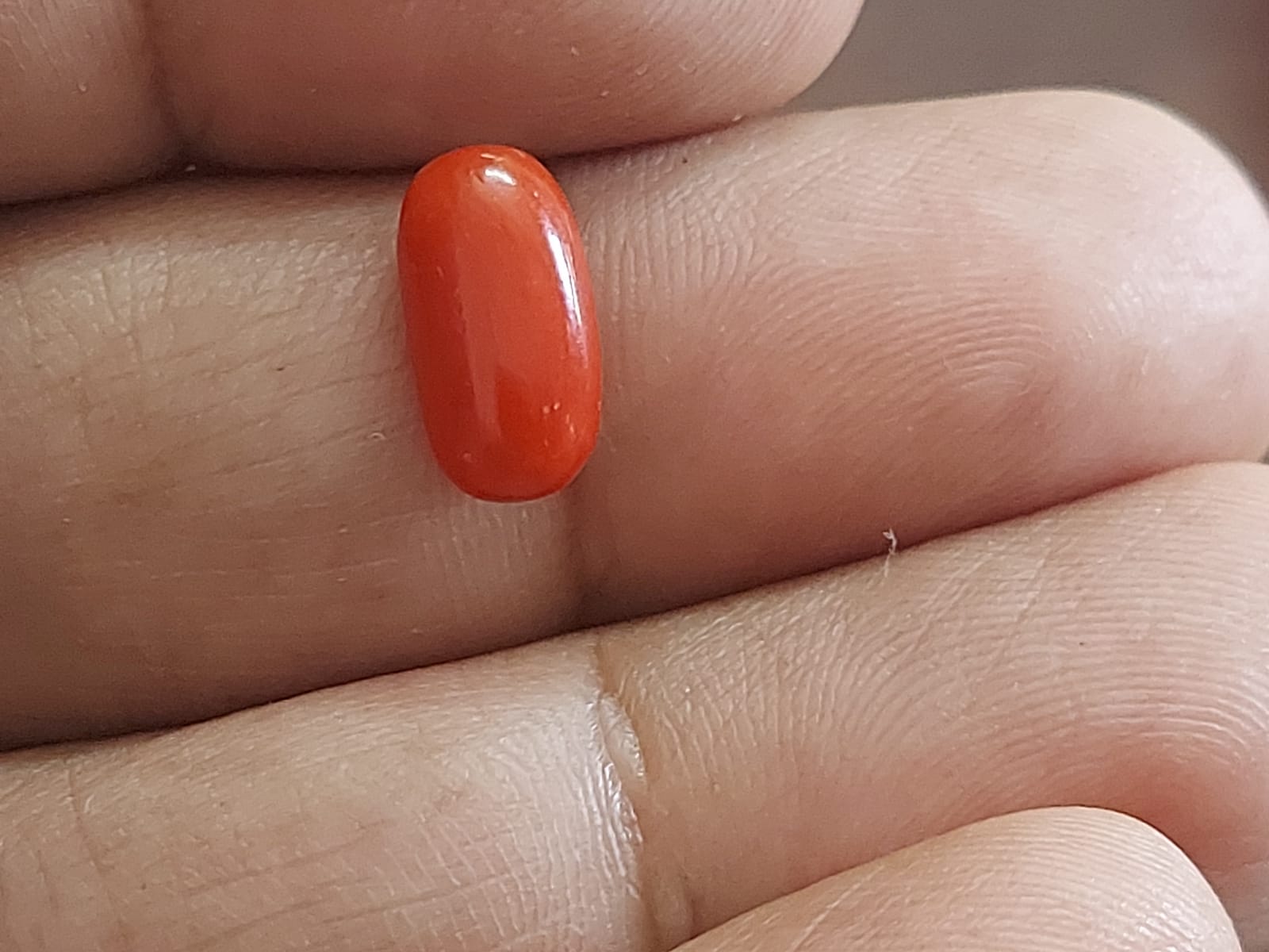 Red Coral stone | Moonga stone | Italian | 3.25 Carat | With Certifica ...