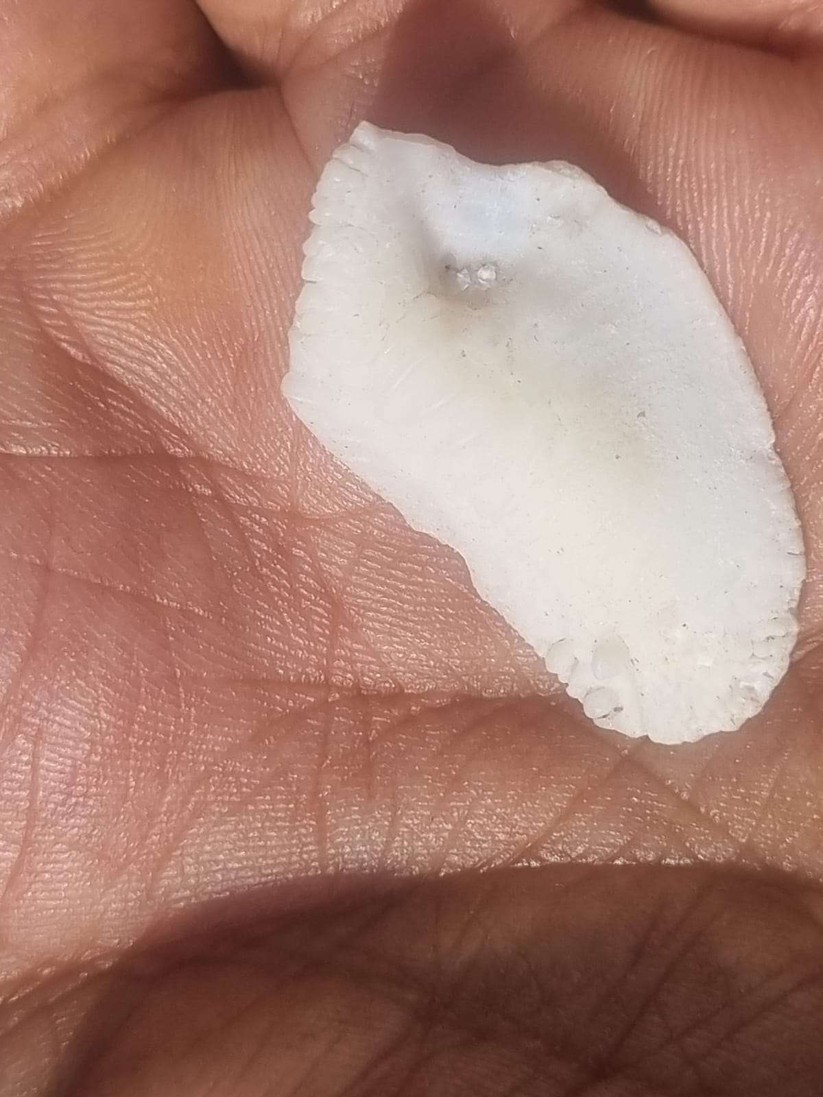 Shukra Mani | Shukramani | 13 carat | With Certificate – Vedic Crystals