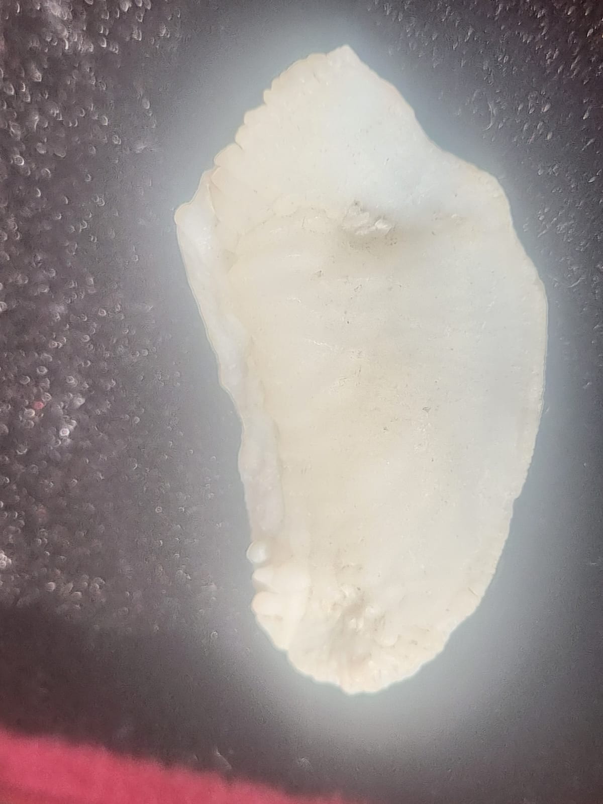 Shukra Mani | Shukramani | 12 carat | With Certificate – Vedic Crystals