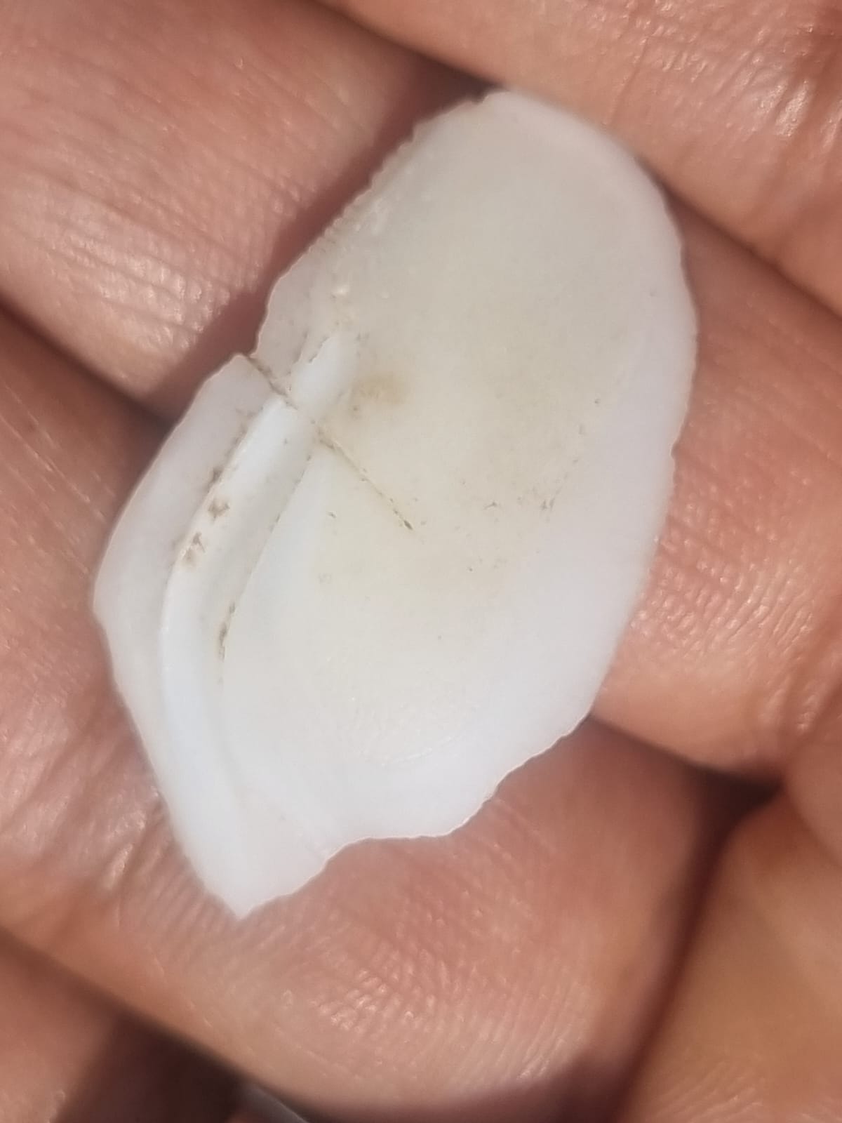 Shukra Mani | 14 carat | With Certificate – Vedic Crystals