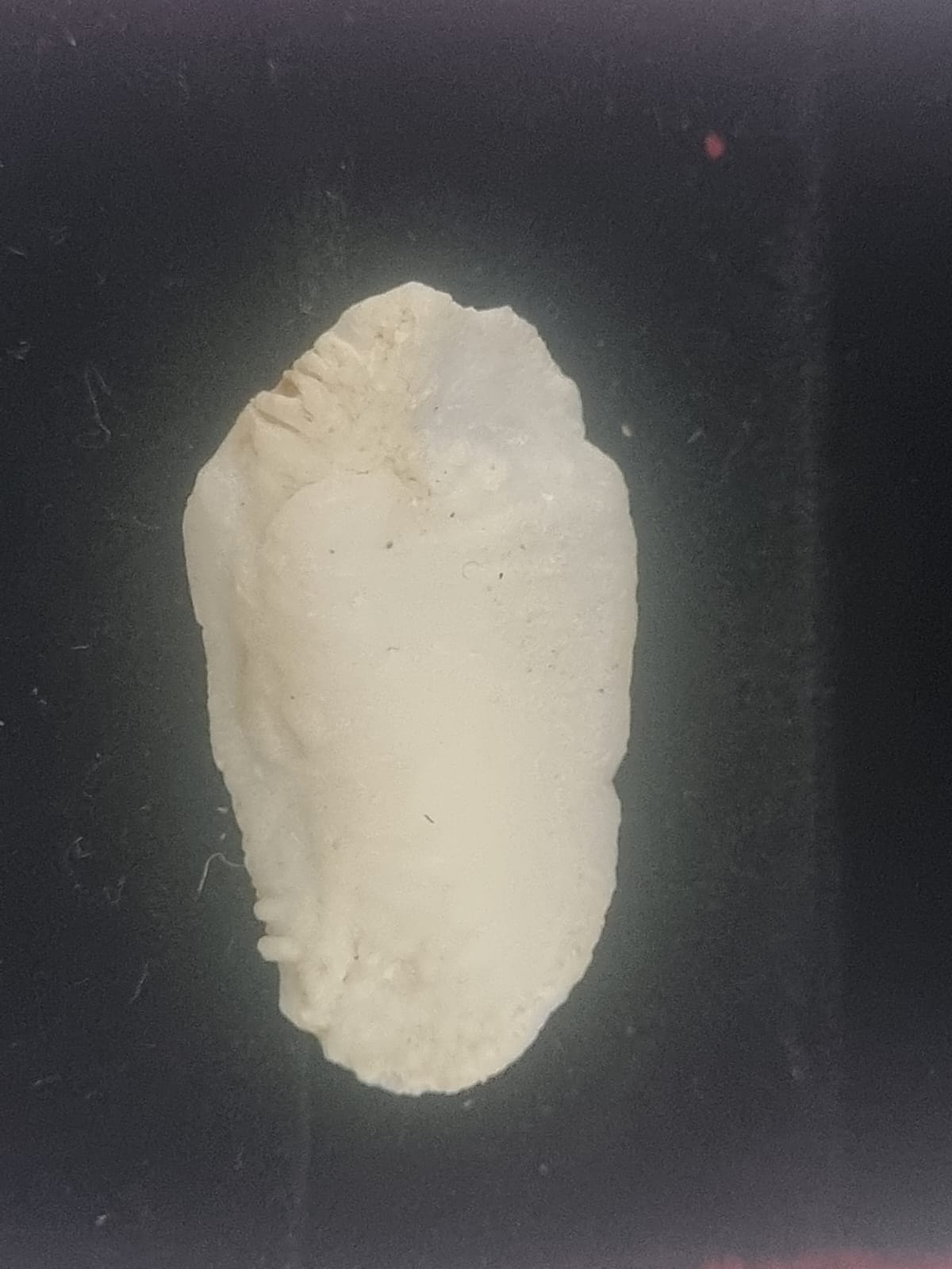 Shukra Mani | Shukramani | 17 carat | With Certificate – Vedic Crystals