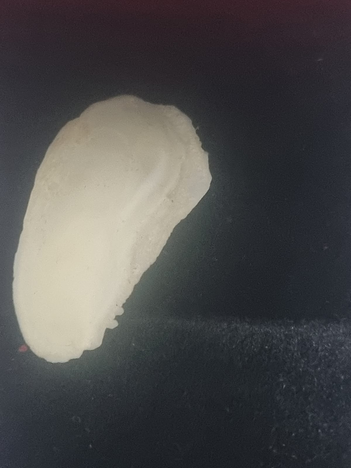 Shukra Mani | Shukramani | 20 carat | With Certificate – Vedic Crystals