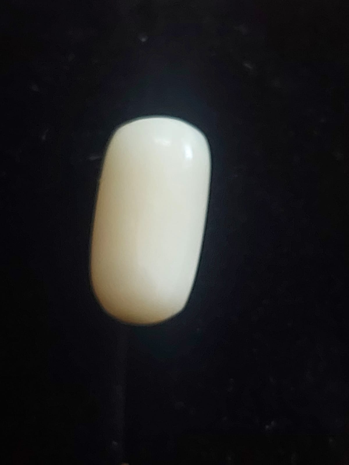 White Coral Stone | Safed Mooonga | 11 Ratti | With Certificate – Vedic ...