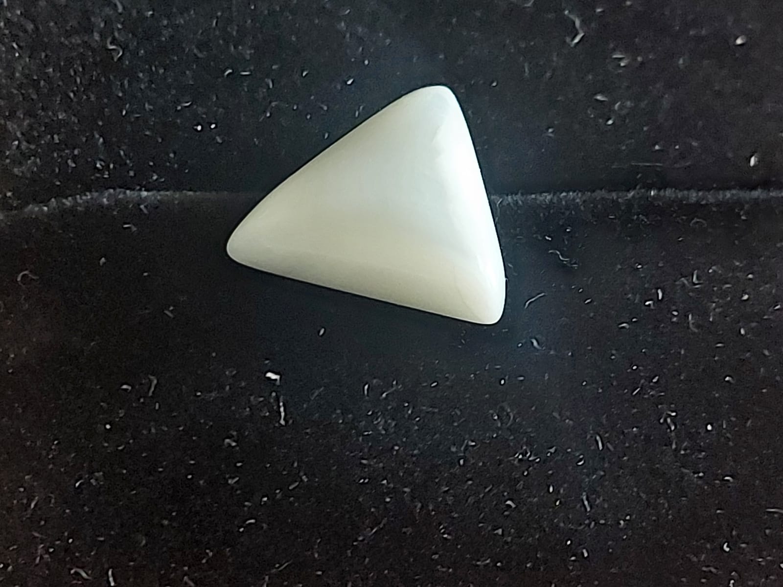 White Coral Stone | Safed Mooonga | Triangle | 10 carat | With Certifi ...